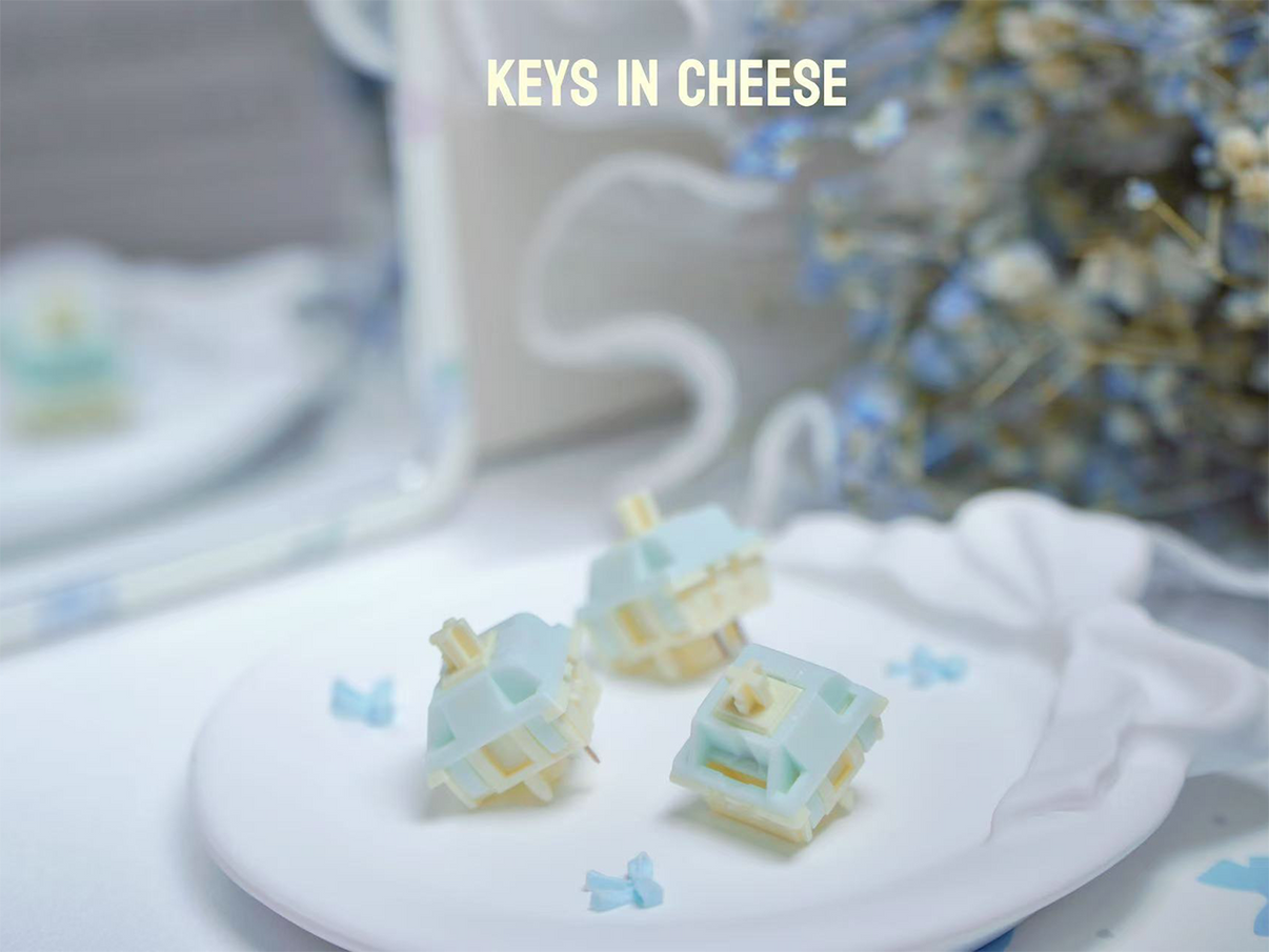 Blue Cheese V2 Switch