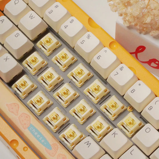 Switch – KeyBay Tech